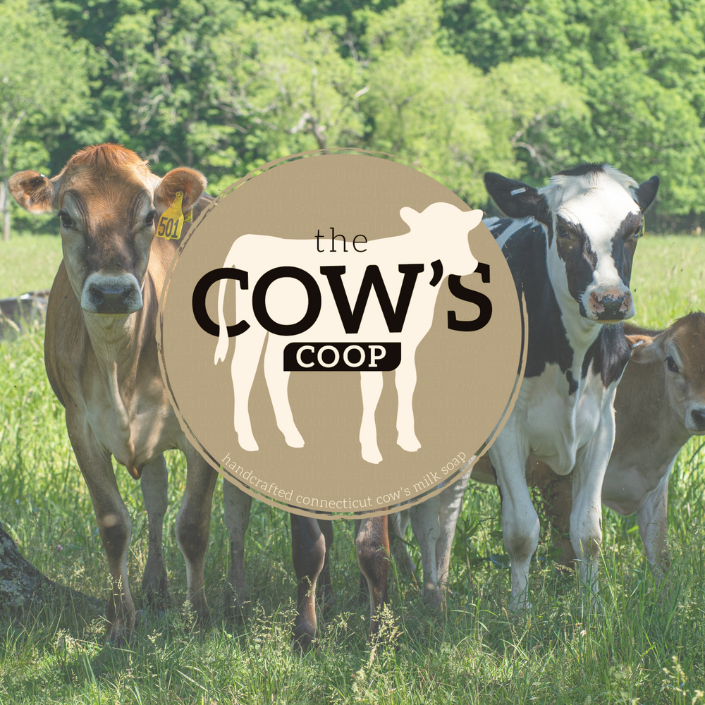 The Cow's Coop – thecowscoop