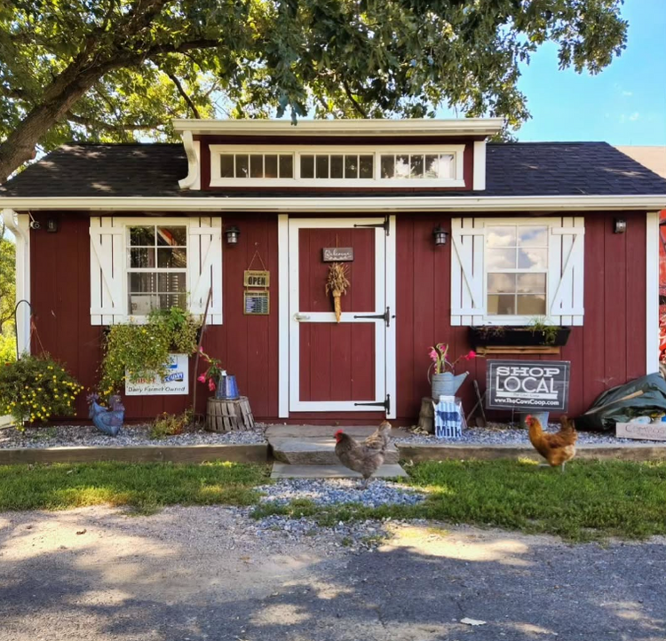The Cow's Coop – thecowscoop