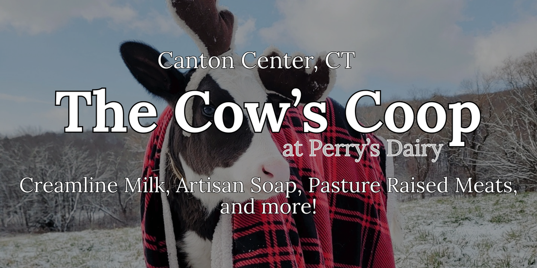 The Cow's Coop – thecowscoop